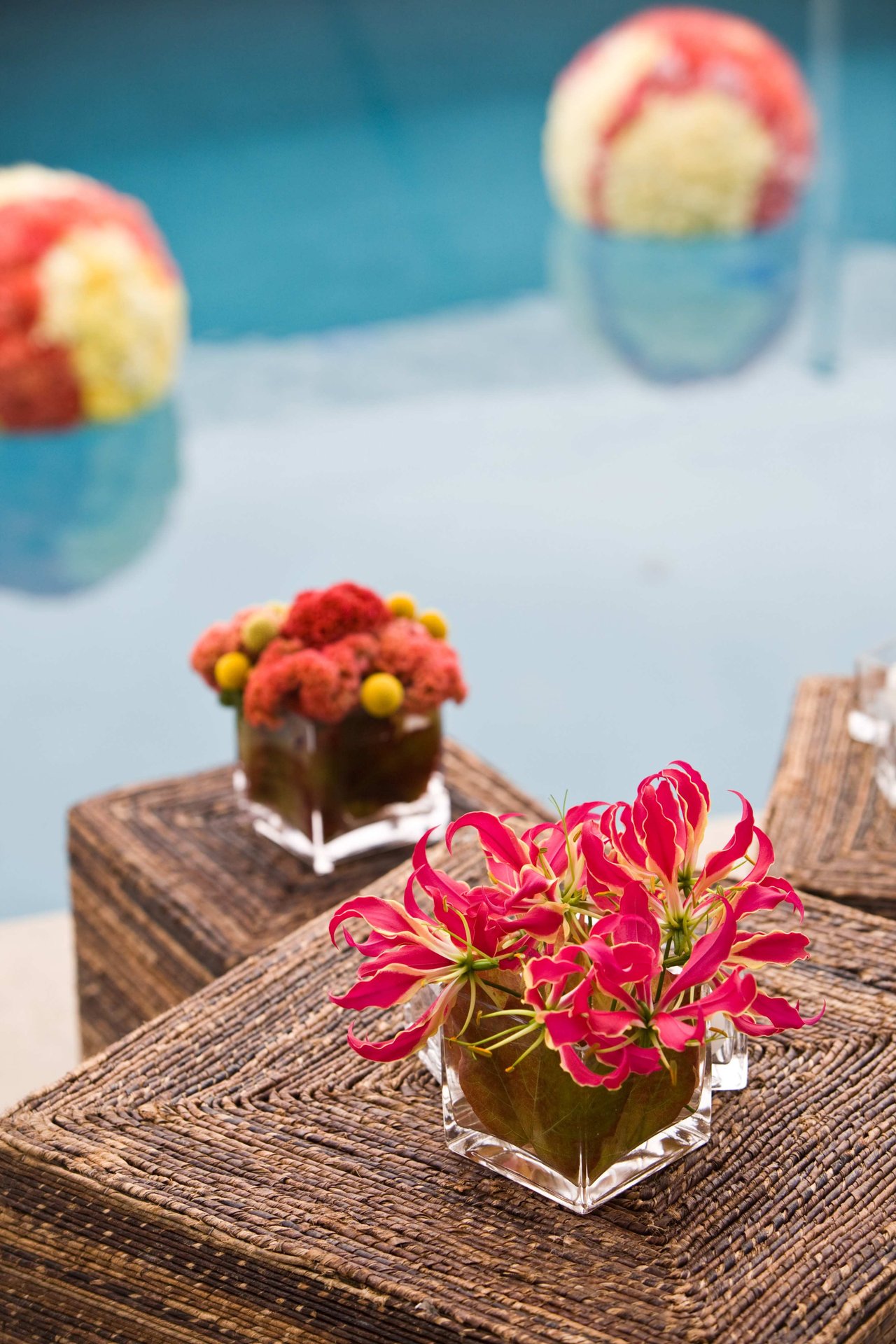 Swimming Pool Flowers