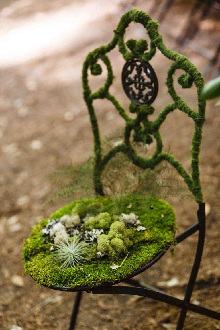 Moss-Covered Chair