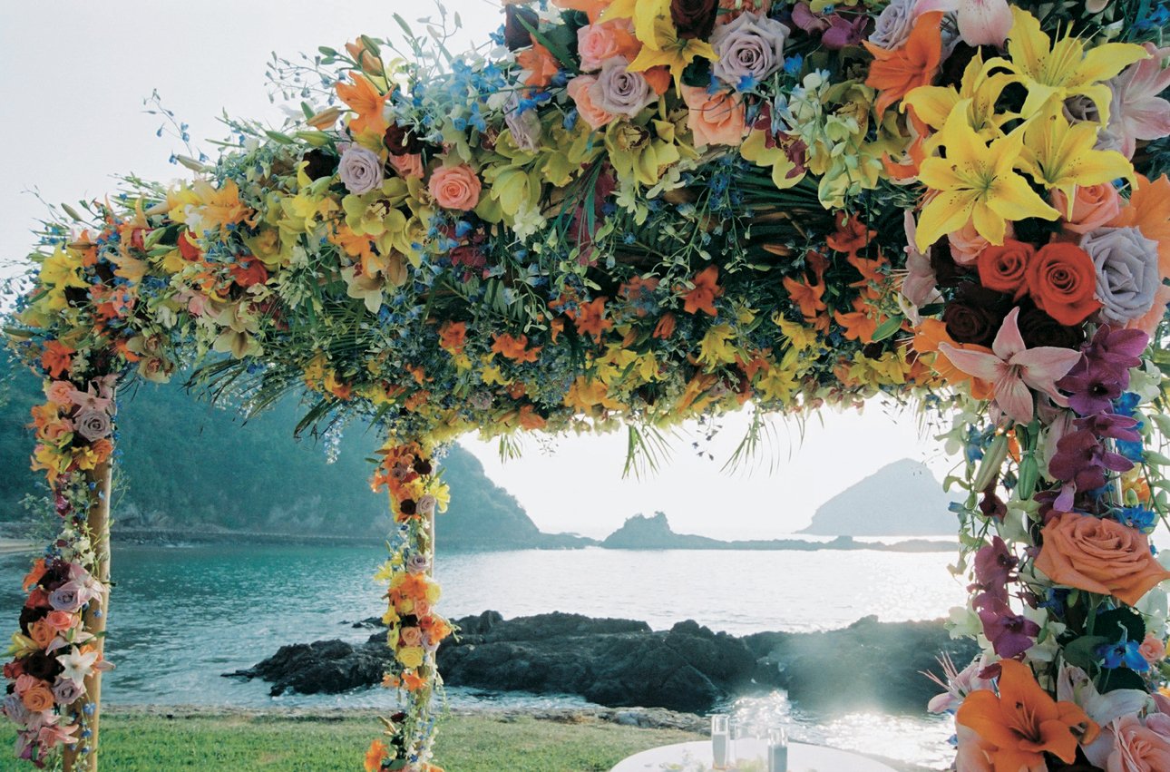 Vibrant Floral Canopy
