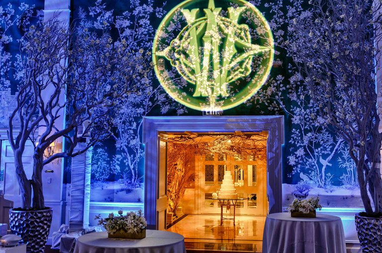 Indoor Forest Décor