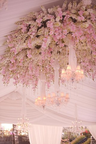 Pink Ceiling Treatment