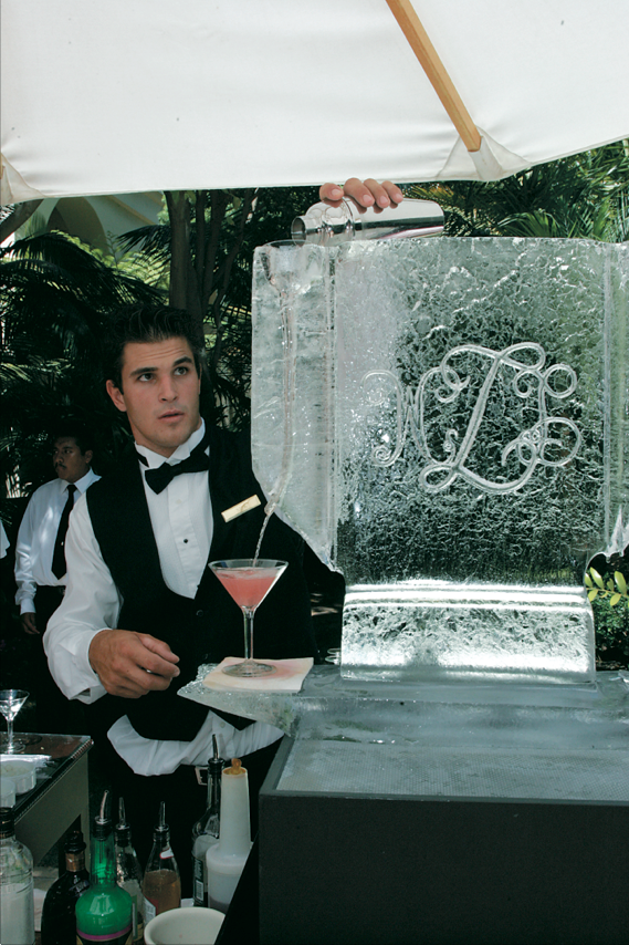 Ice Sculpture Martini Bar