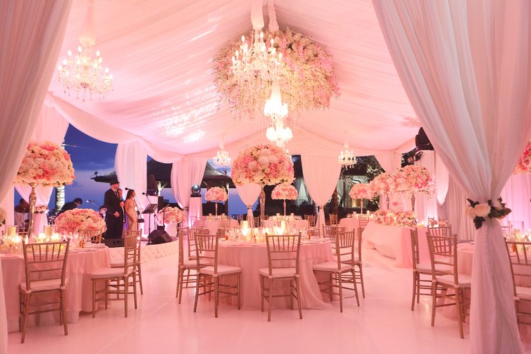 Pretty-in-Pink Reception