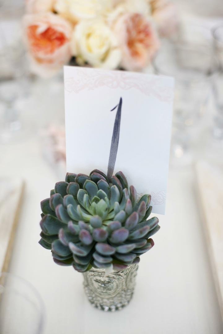 Succulent Table Number