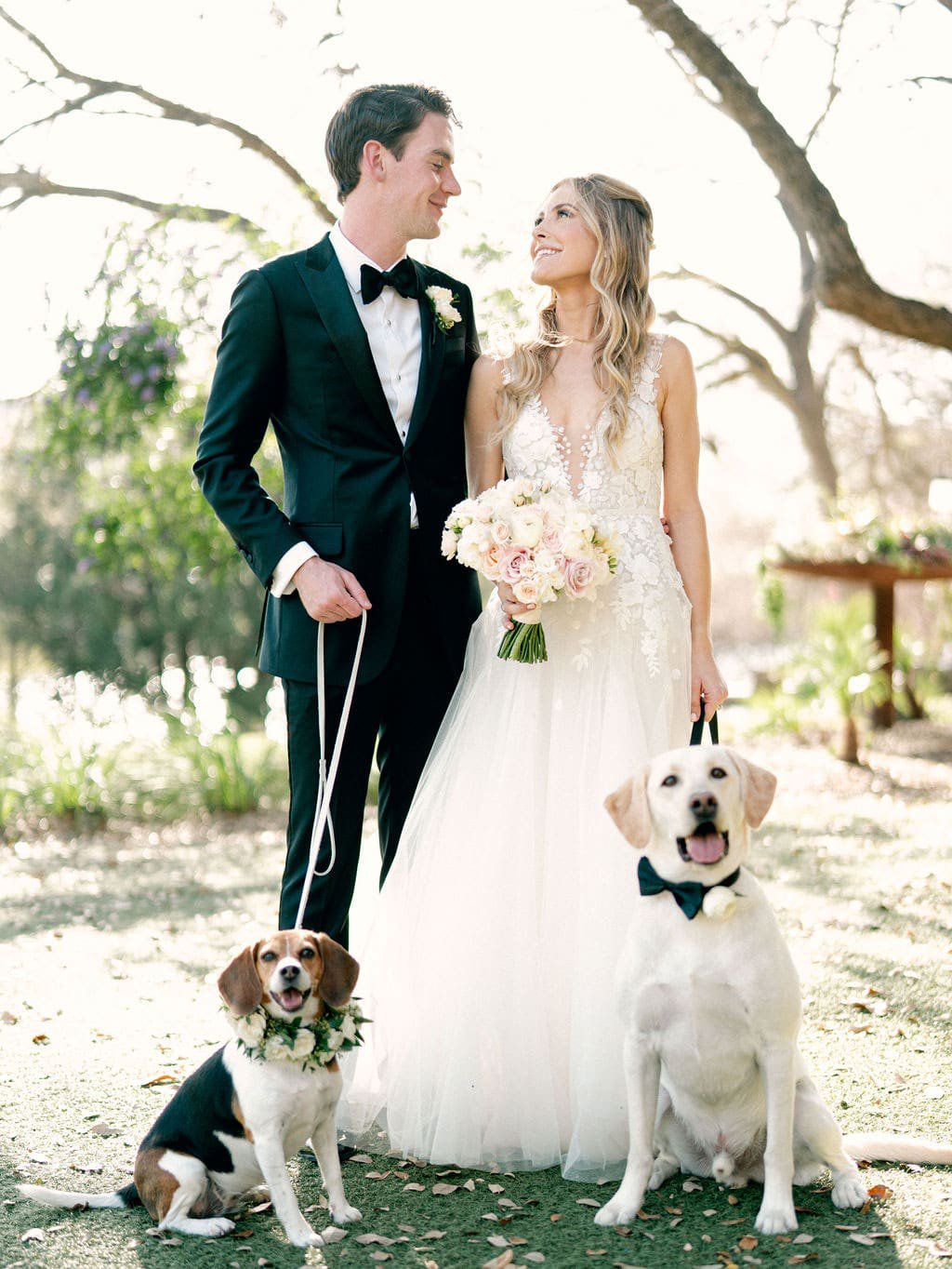 Bride & Groom with Two Dogs - Belle Events