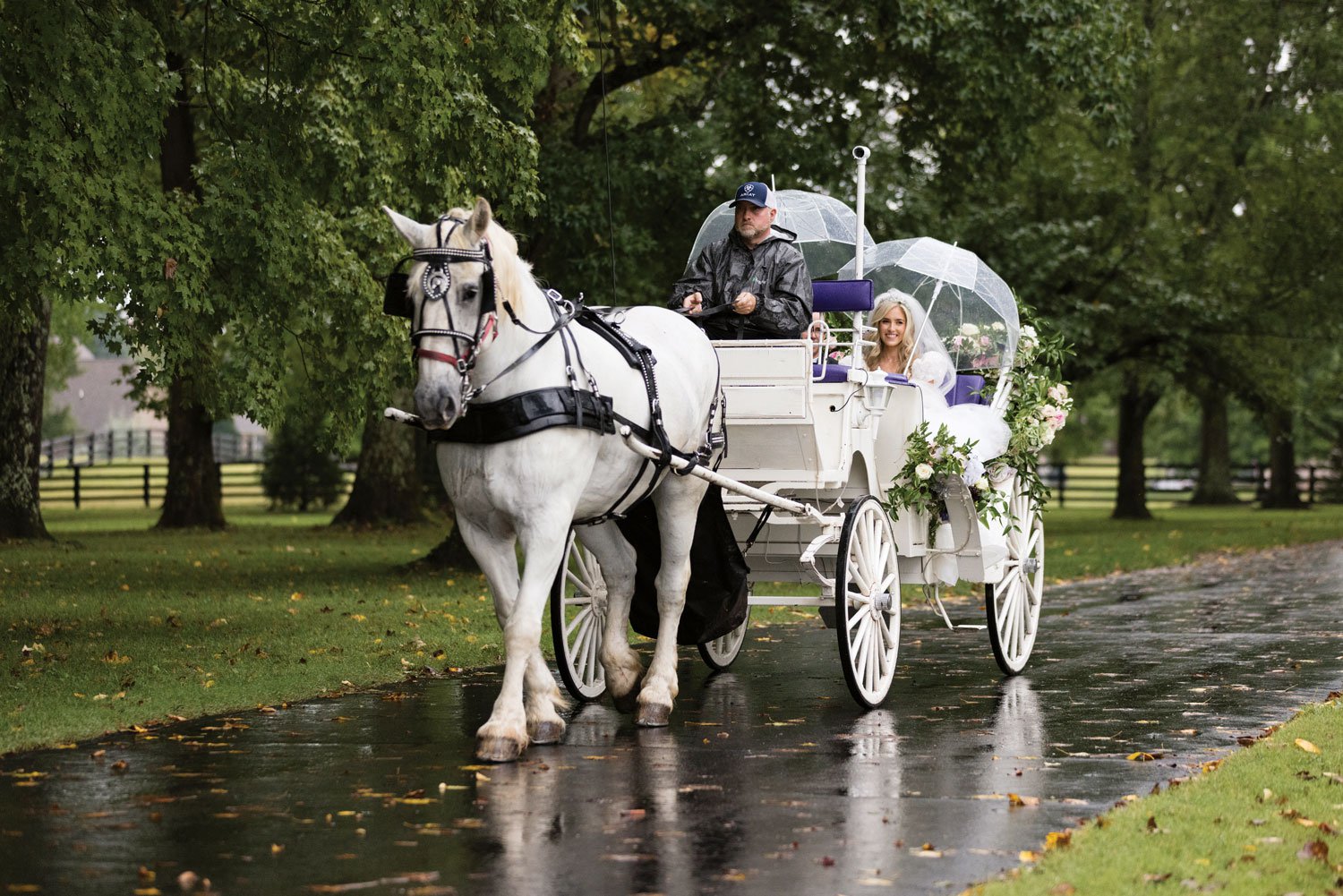 Bride & Father in Horse-Drawn Carriage