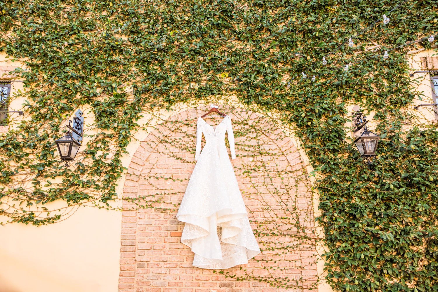 Berta Wedding Dress Hanging on Ivy-Covered Wall