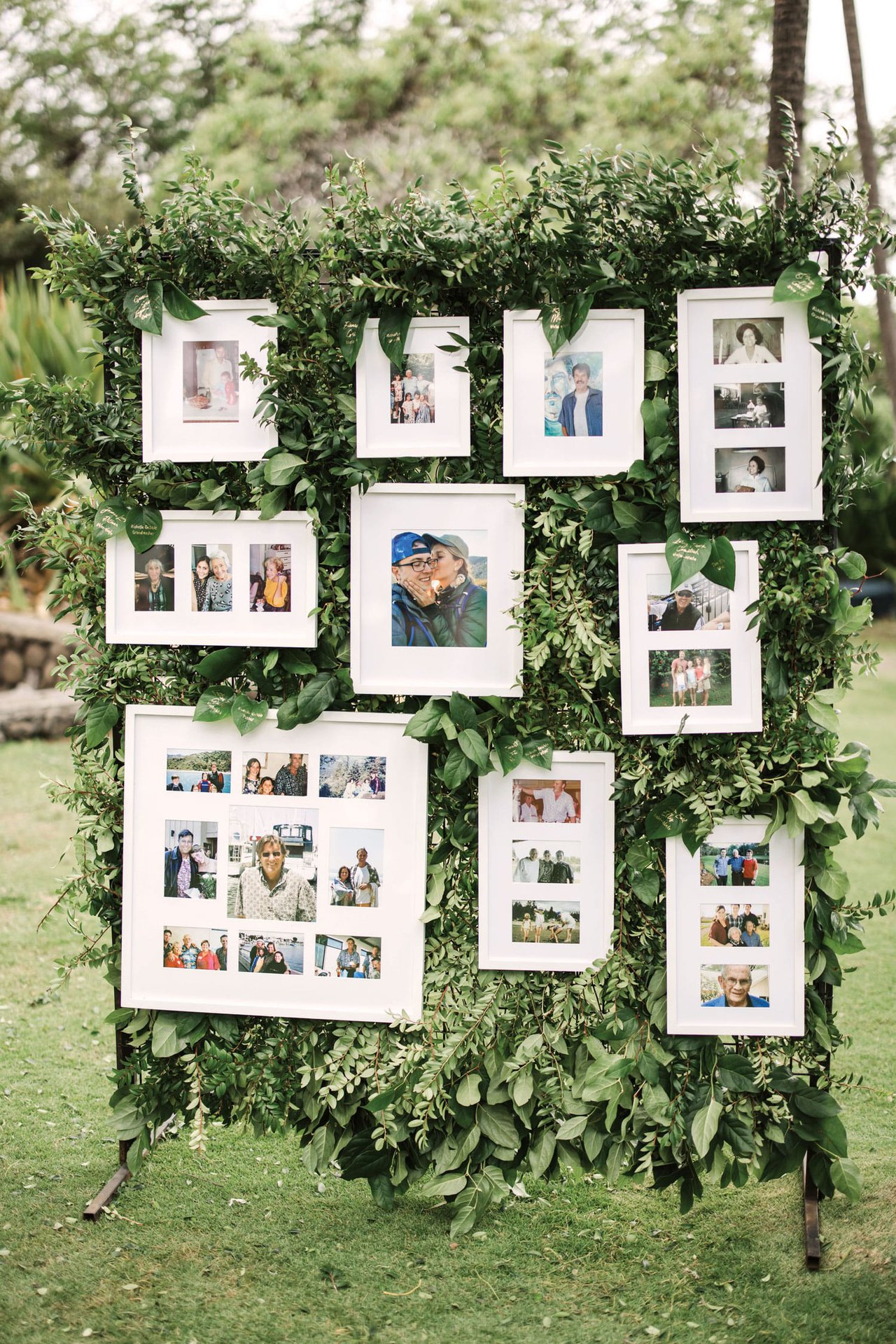 Photos of Bride & Groom on Hedge Wall