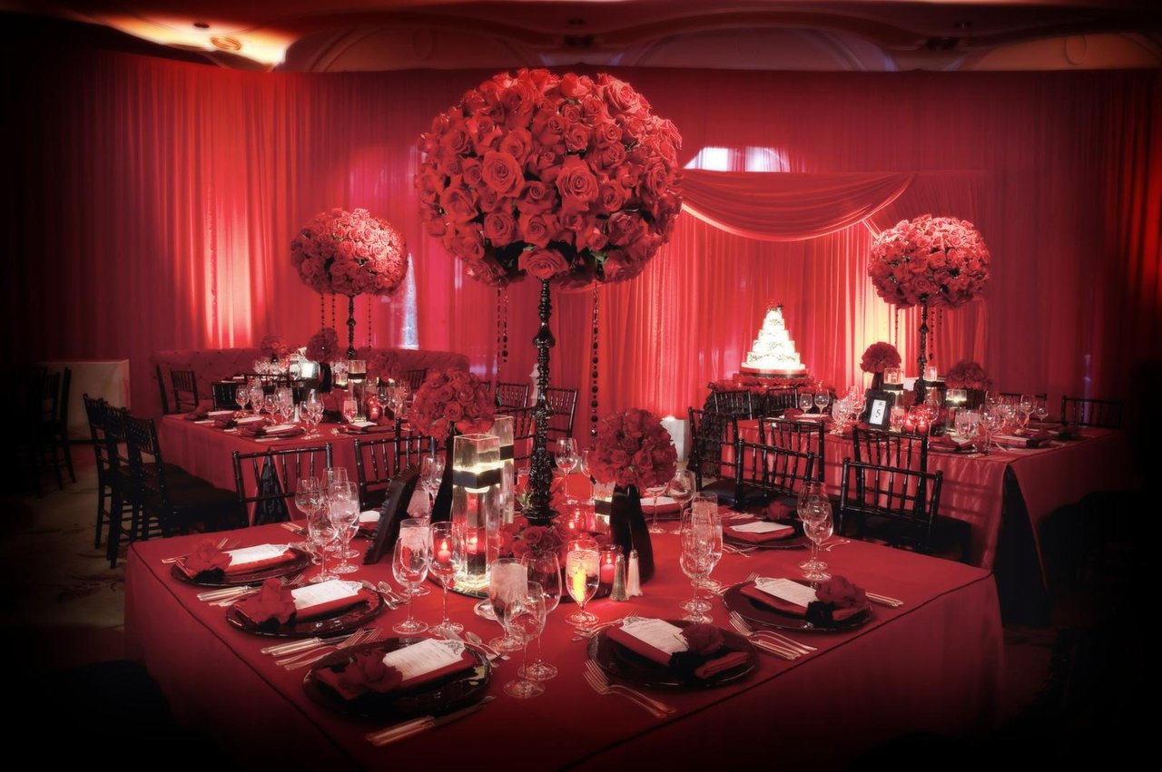 Red and Black Reception