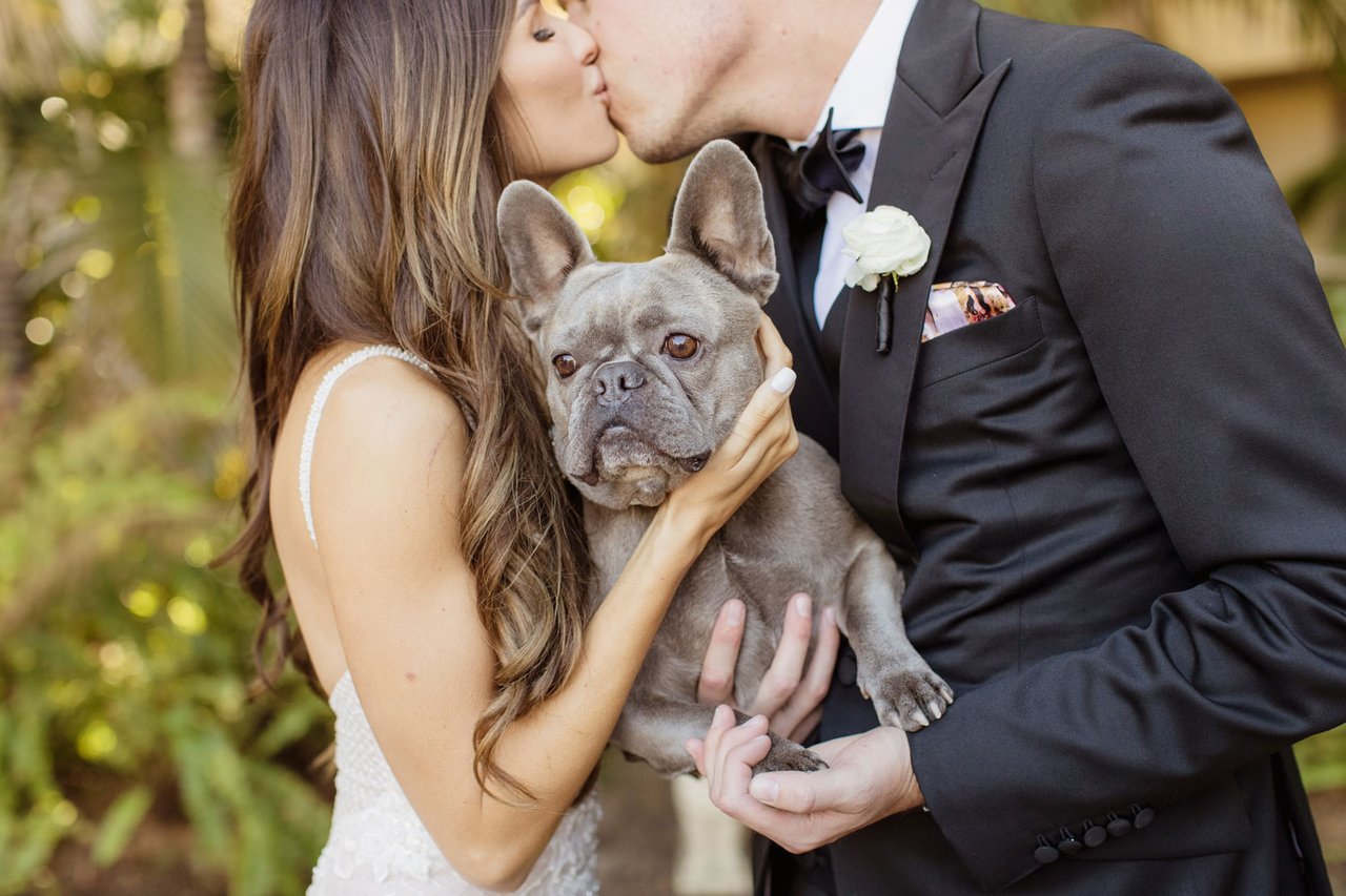 Couple's Grey French Bulldog
