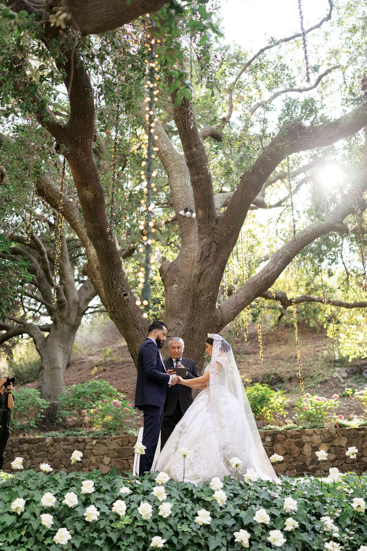 Outdoor Wedding Ceremony Under Tree