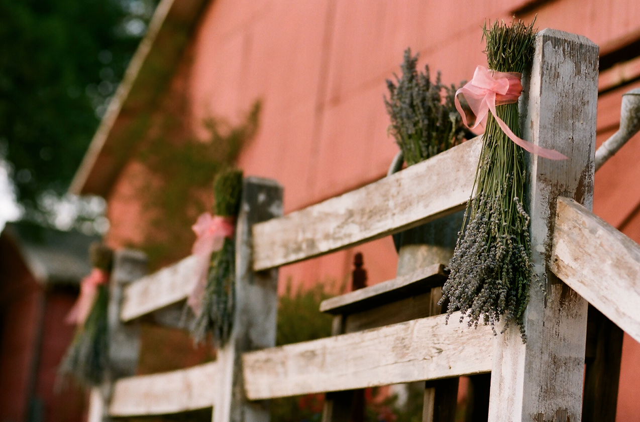 Lavender Reception Decorations