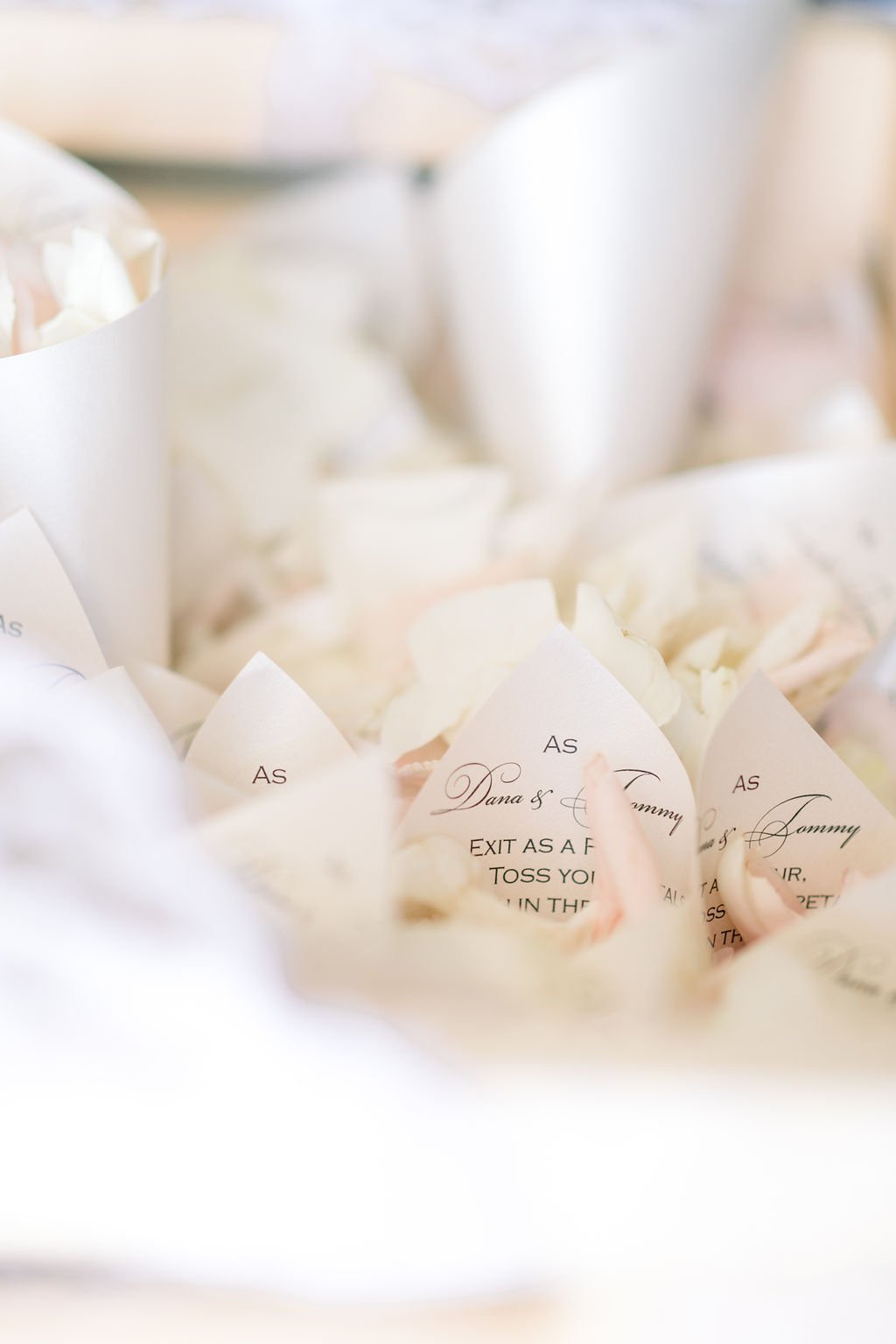Ceremony Flower Petal Cones