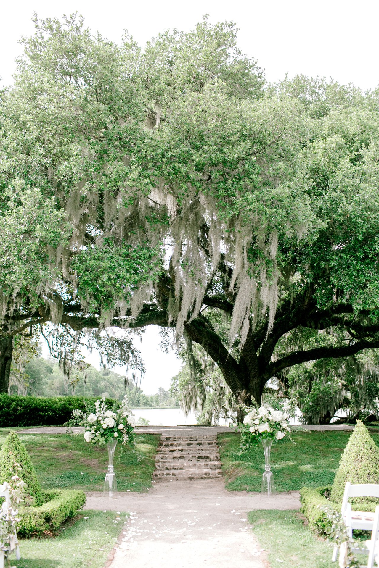 Wedding Ceremony Under Large Tree