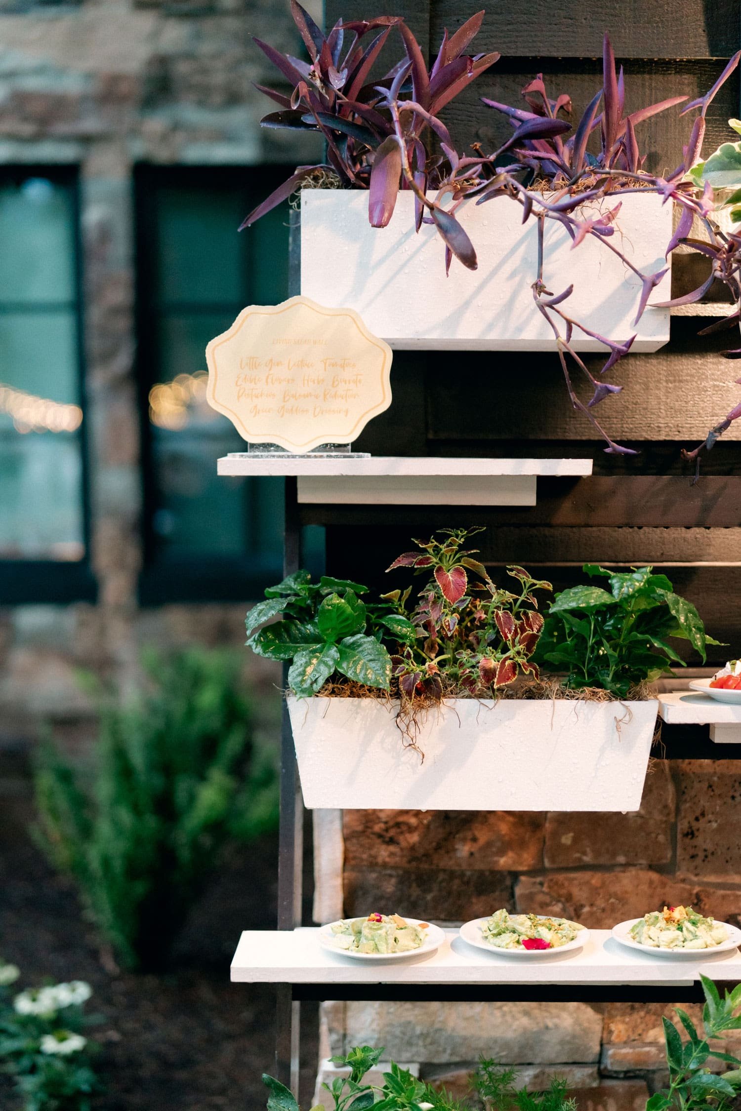 Living Salad Wall Wedding Food Station