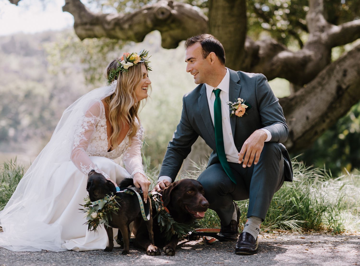 Bride & Groom with Two Dogs