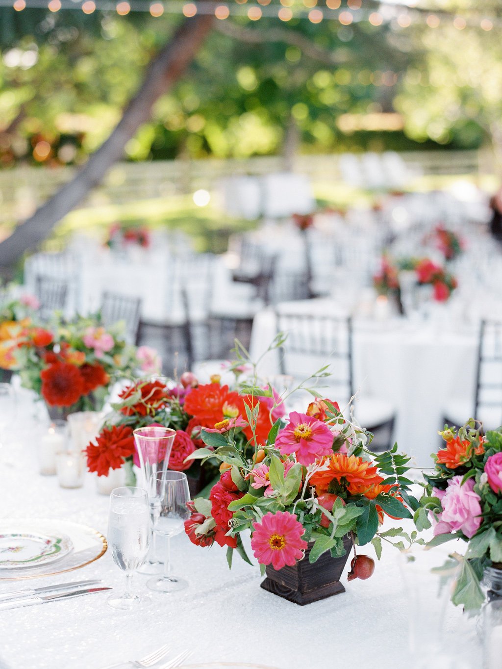 Vibrant Flower Low Centerpieces