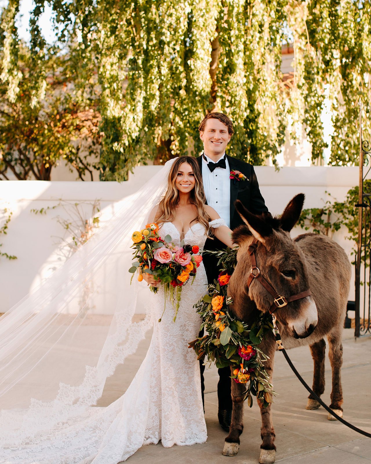 Bride & Groom with Donkey