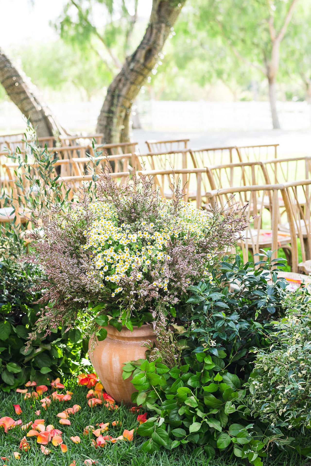 Aisle Arrangements in Terracotta Pots
