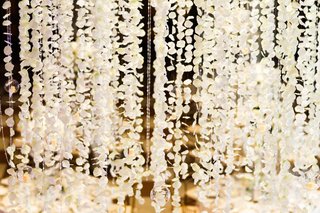 Crystal and Petal Strands