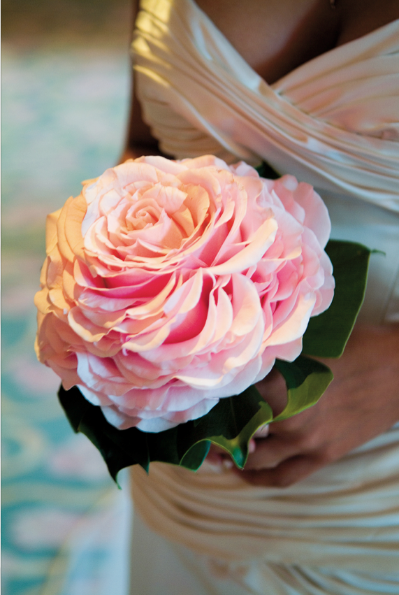 Giant Pink Rose Bouquet