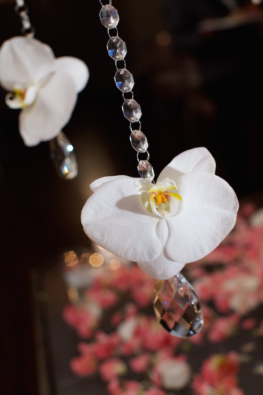White Orchid on Crystal Strand