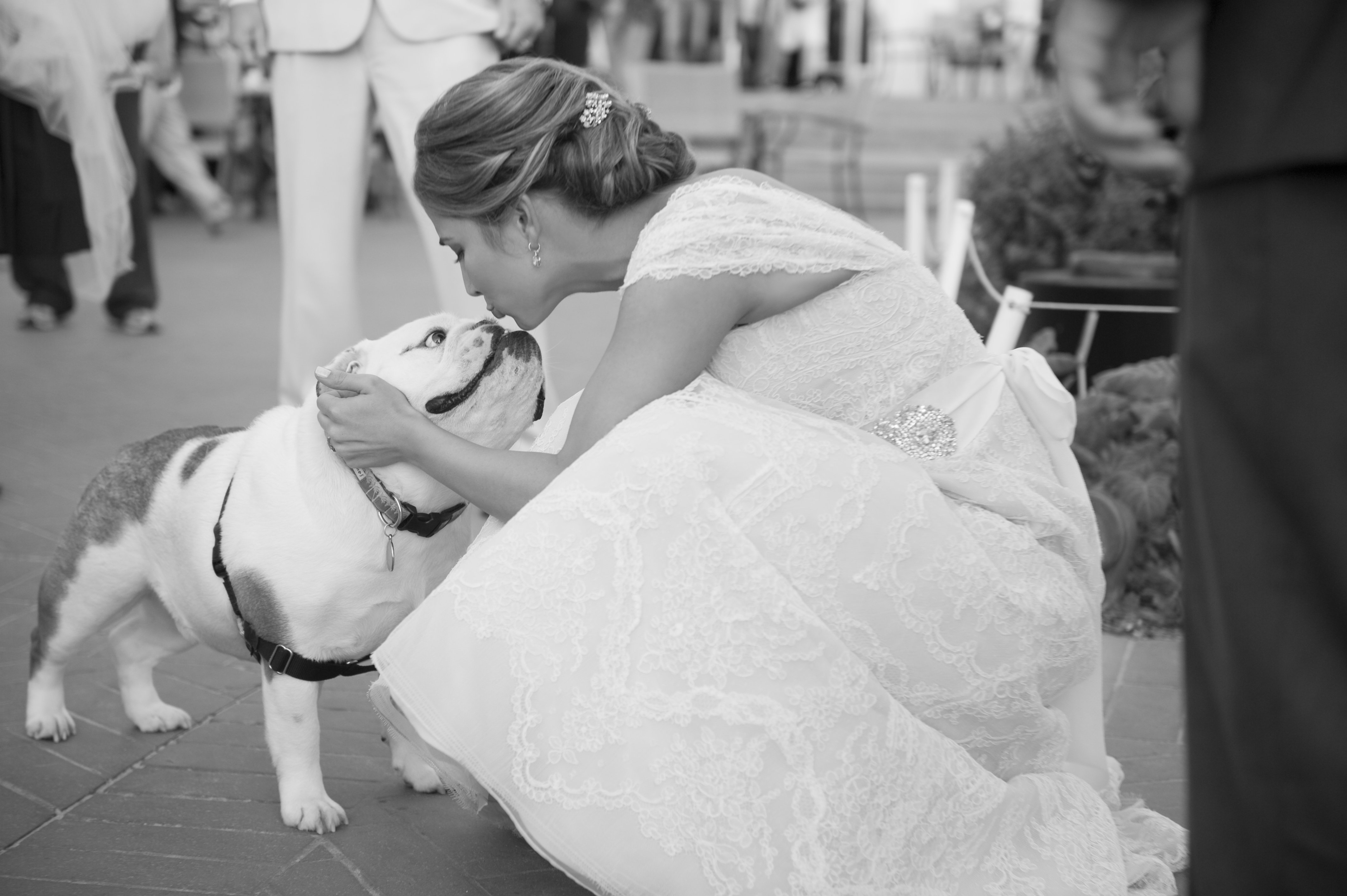 Bride Kissing Dog