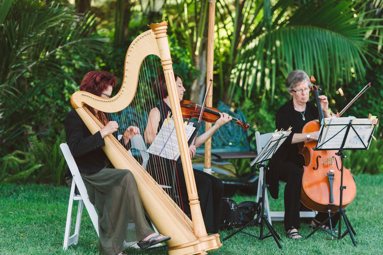 Cello, Violin & Harp at Ceremony