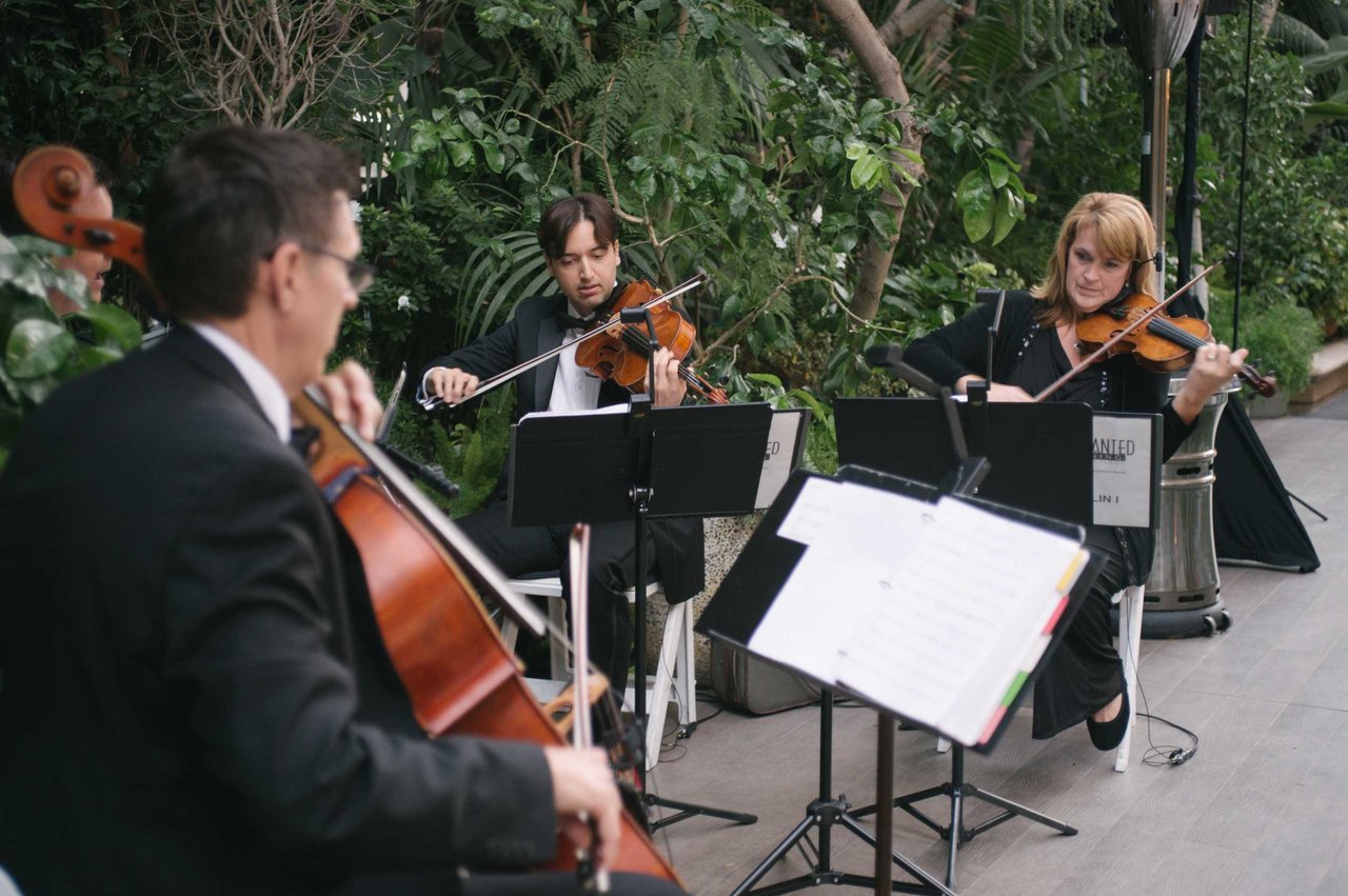 Traditional String Music at Wedding Ceremony