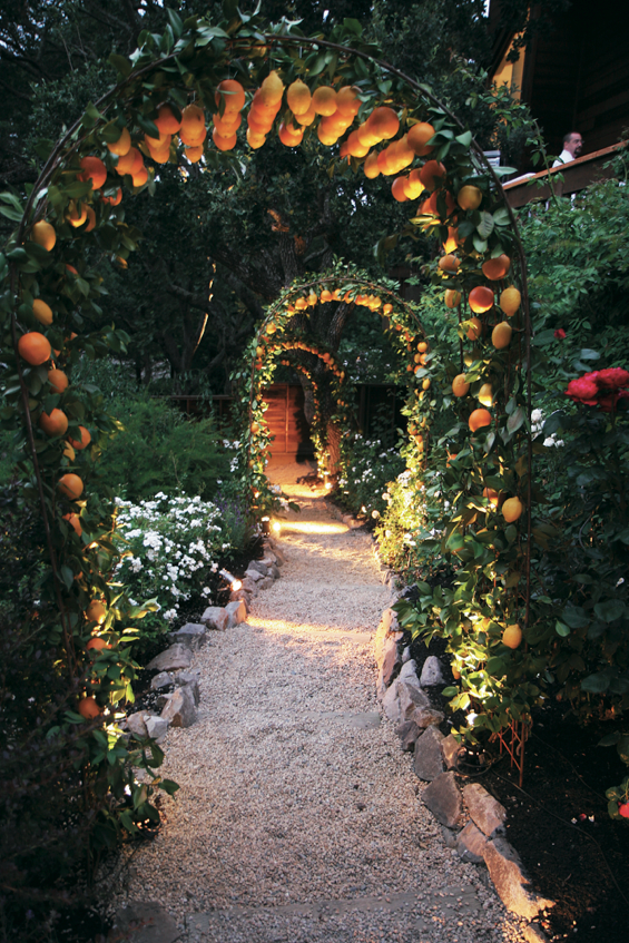 Citrus Wedding Arches