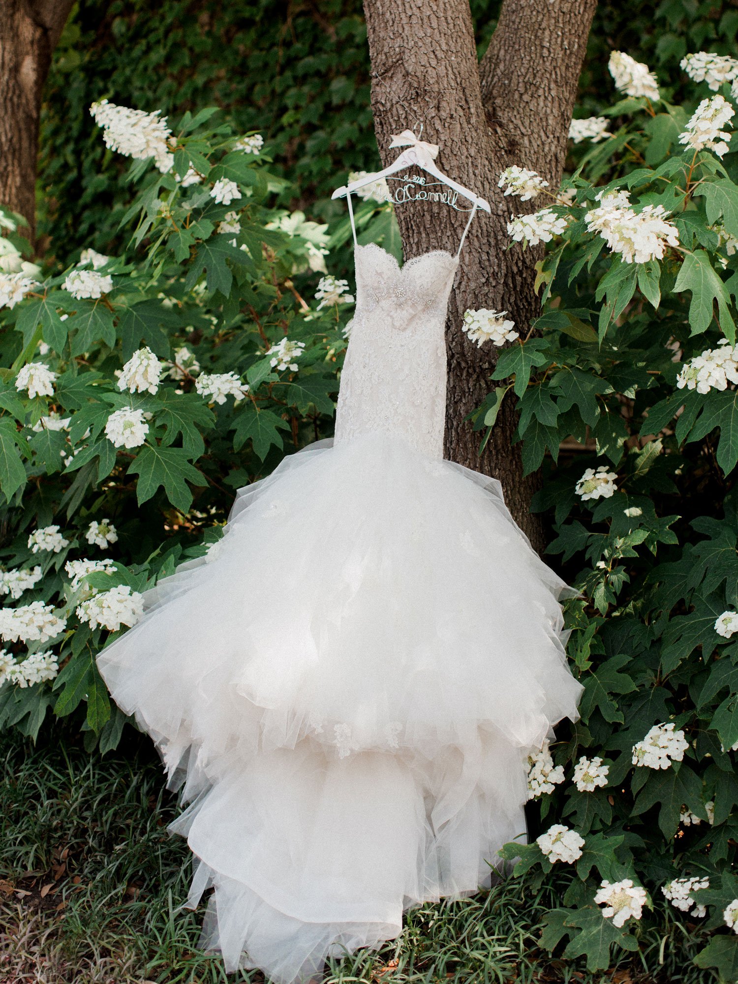 Wedding Dress Displayed on Tree