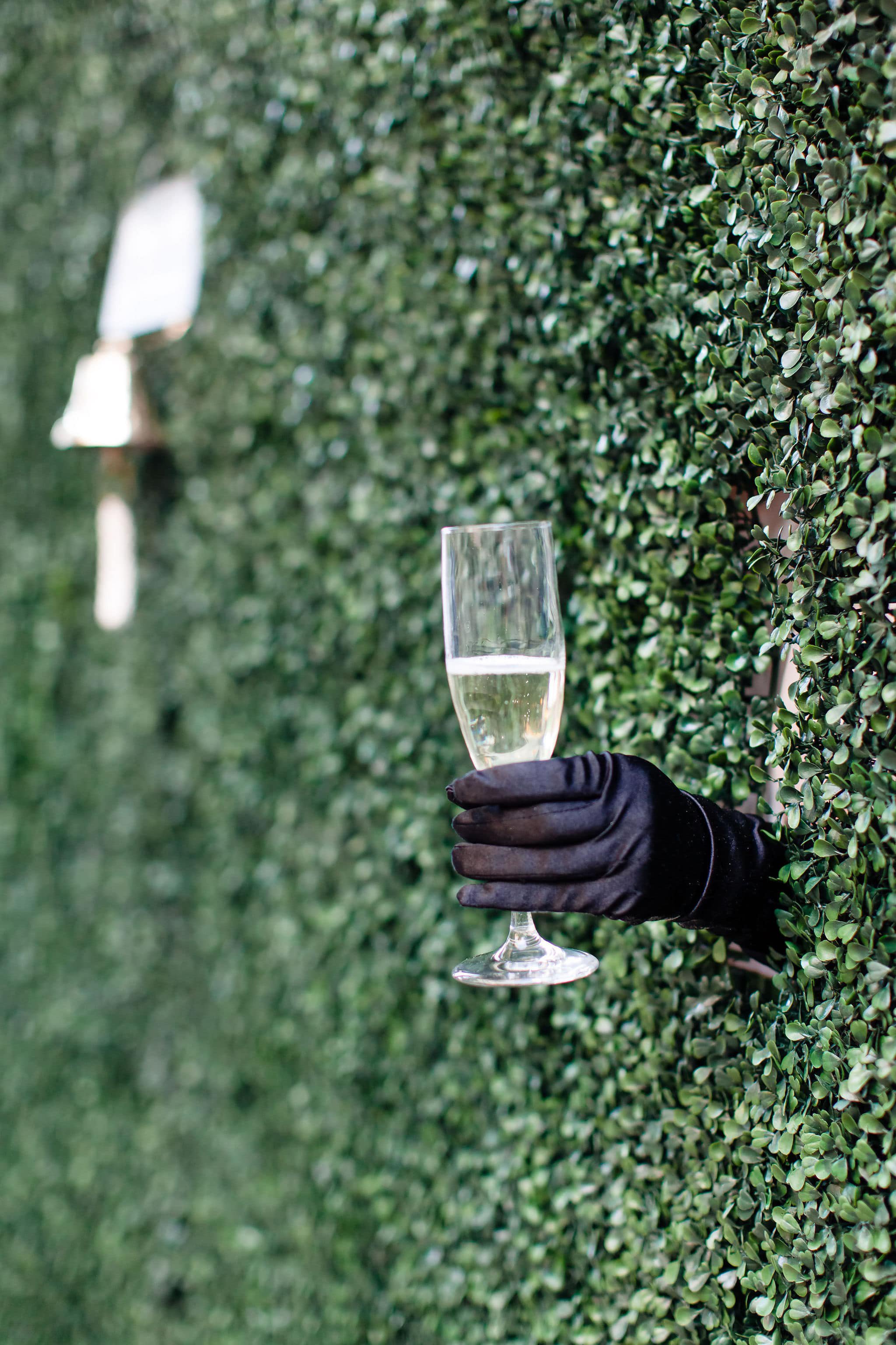Gloved Hand with Champagne Through Wall