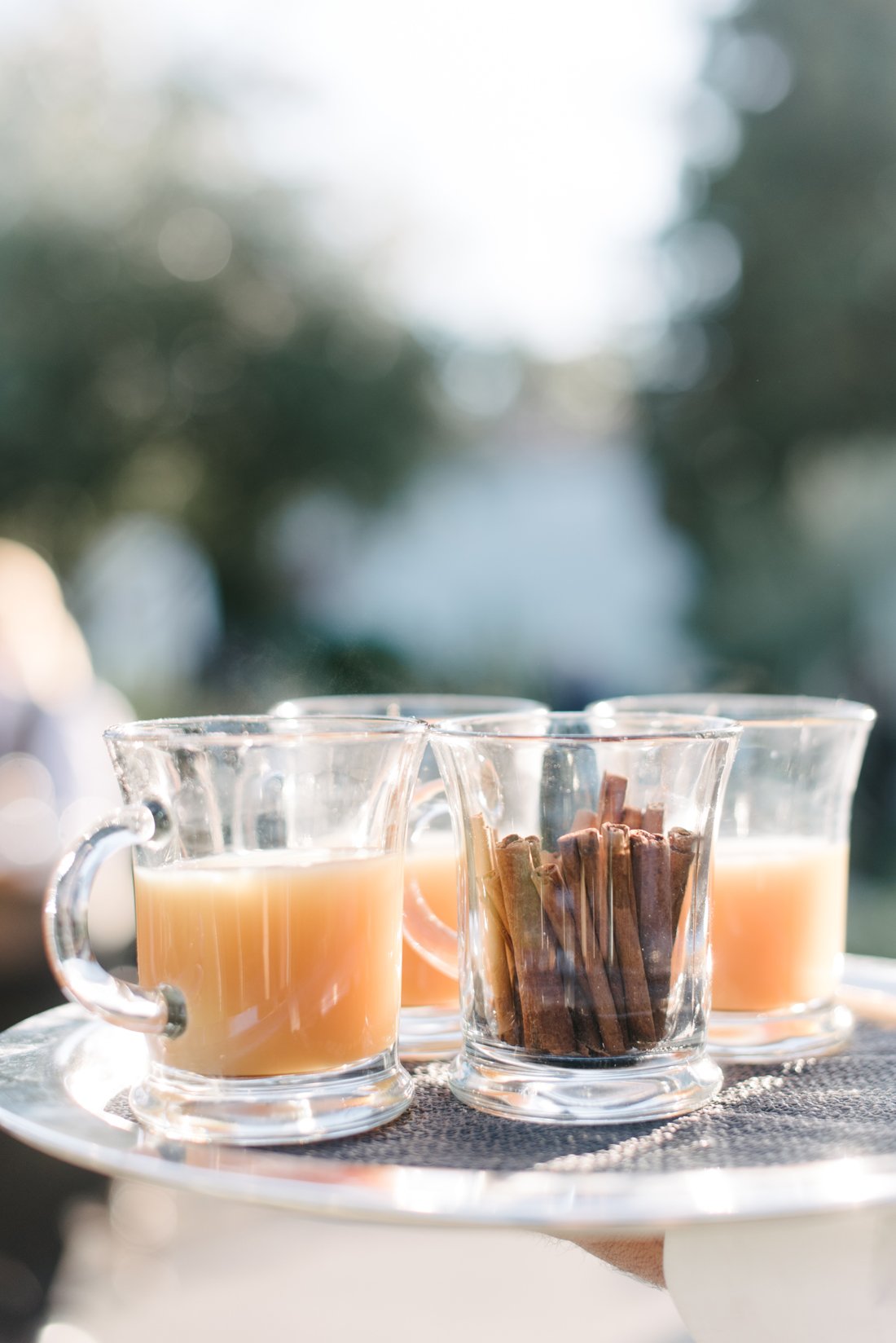 Warm Cinnamon Drinks