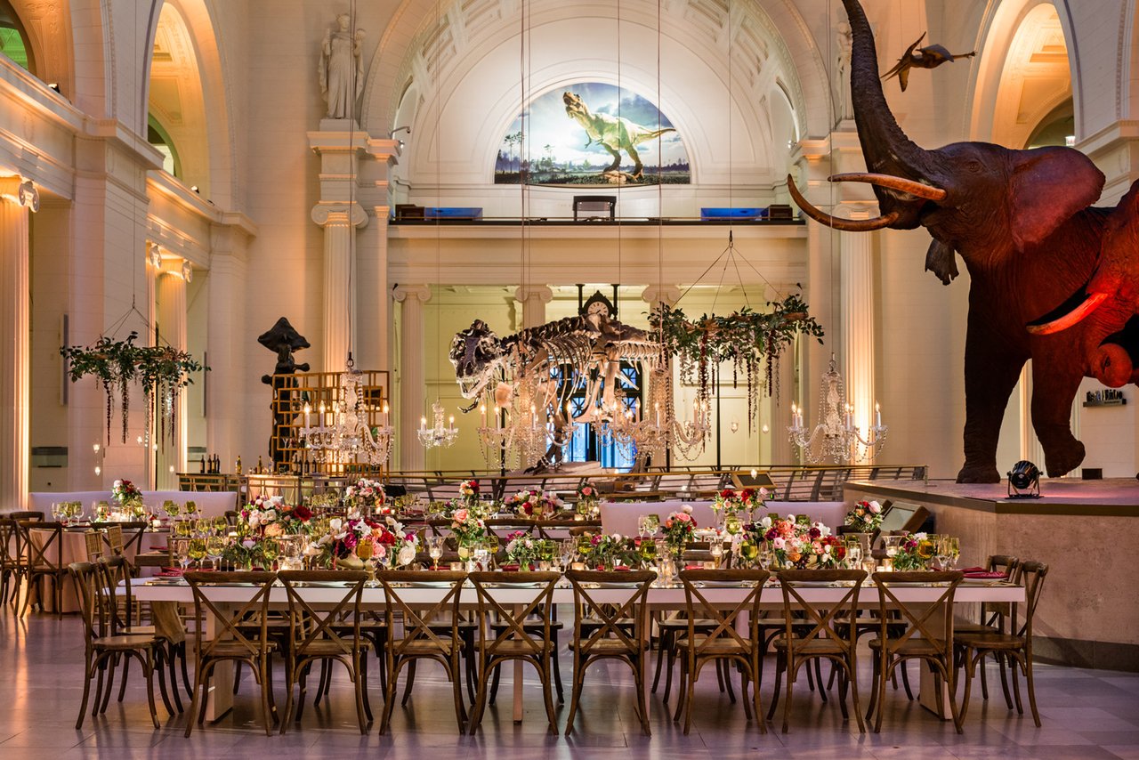 Reception by Dinosaur Skeleton