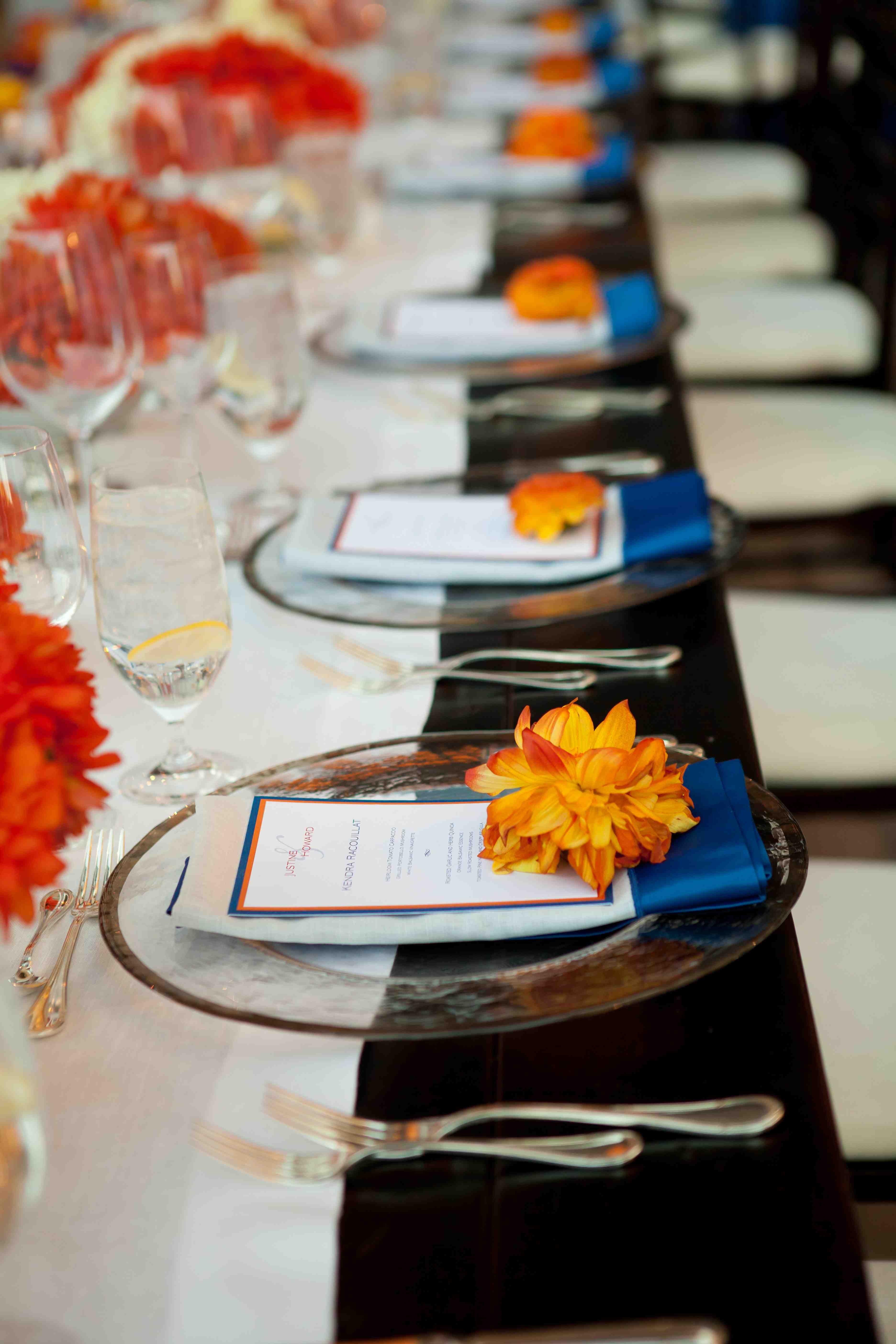 Complementary Color Palette