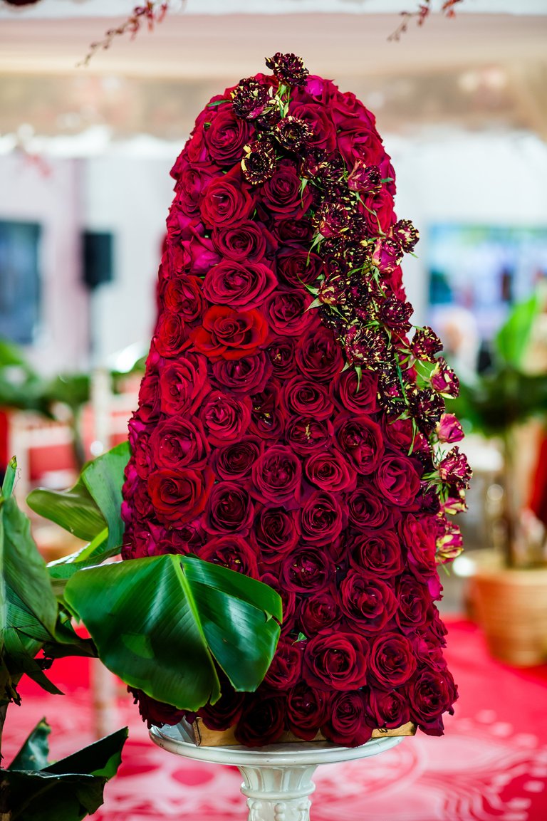 Red Rose Display