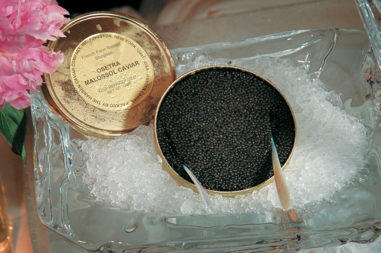Caviar Food Station