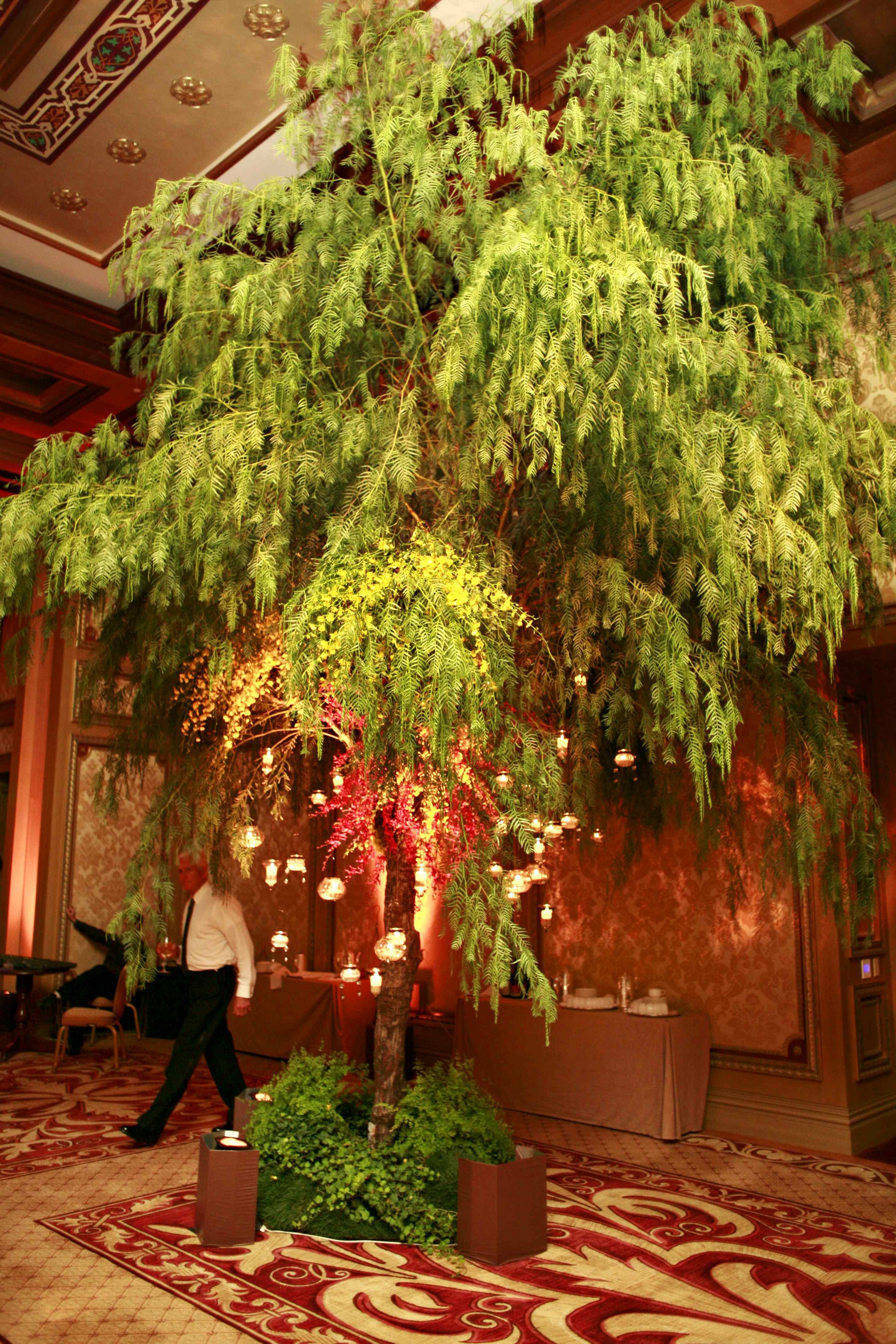 Towering Tree in Ballroom