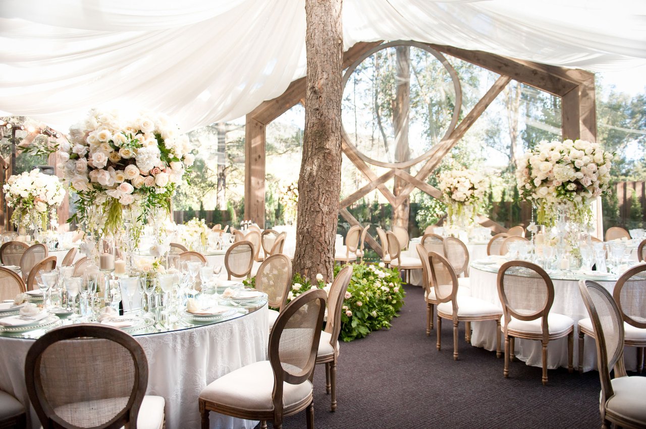 Tented Reception with Tree in the Center