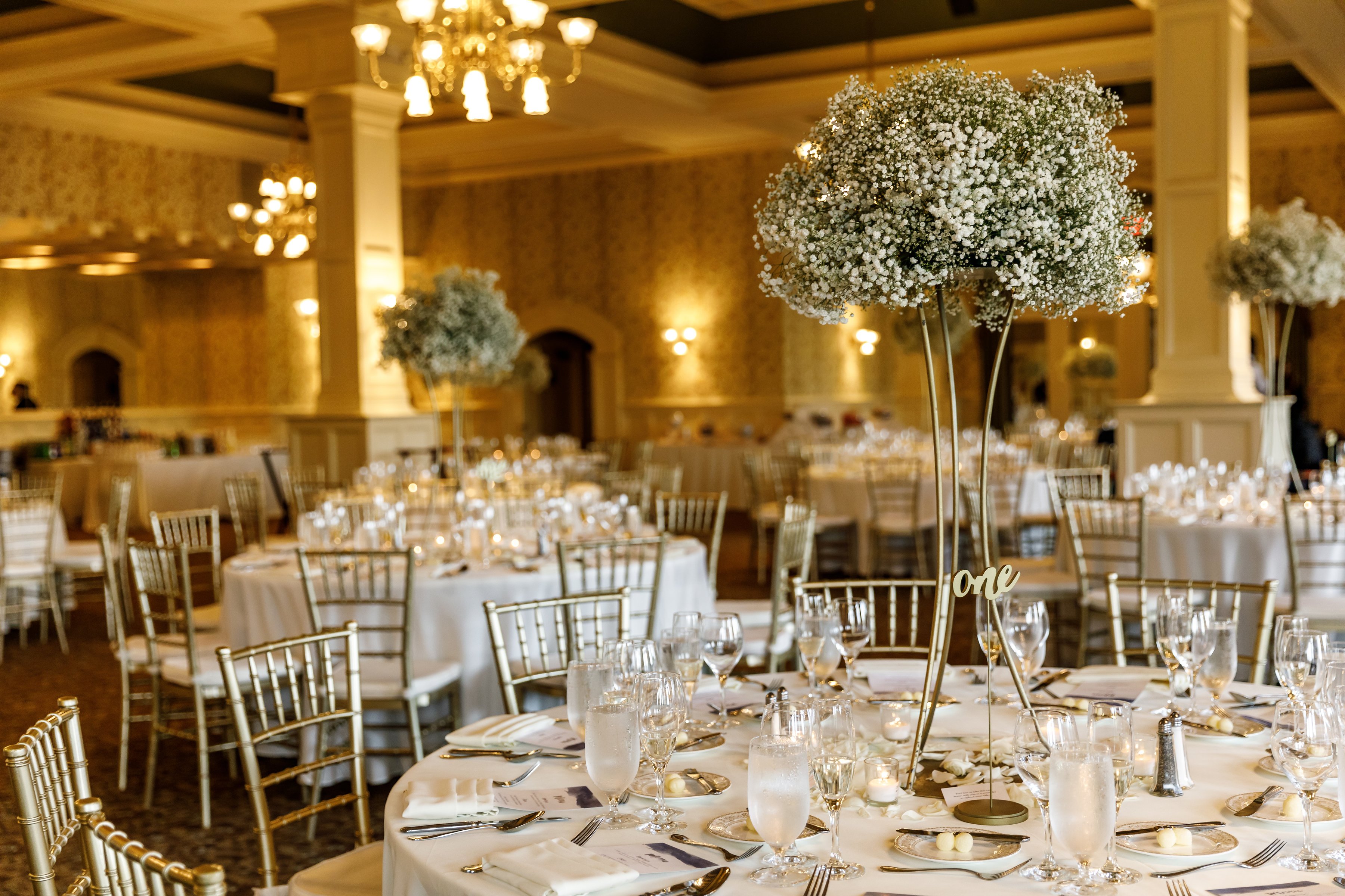 Ivory and Gold Color Scheme