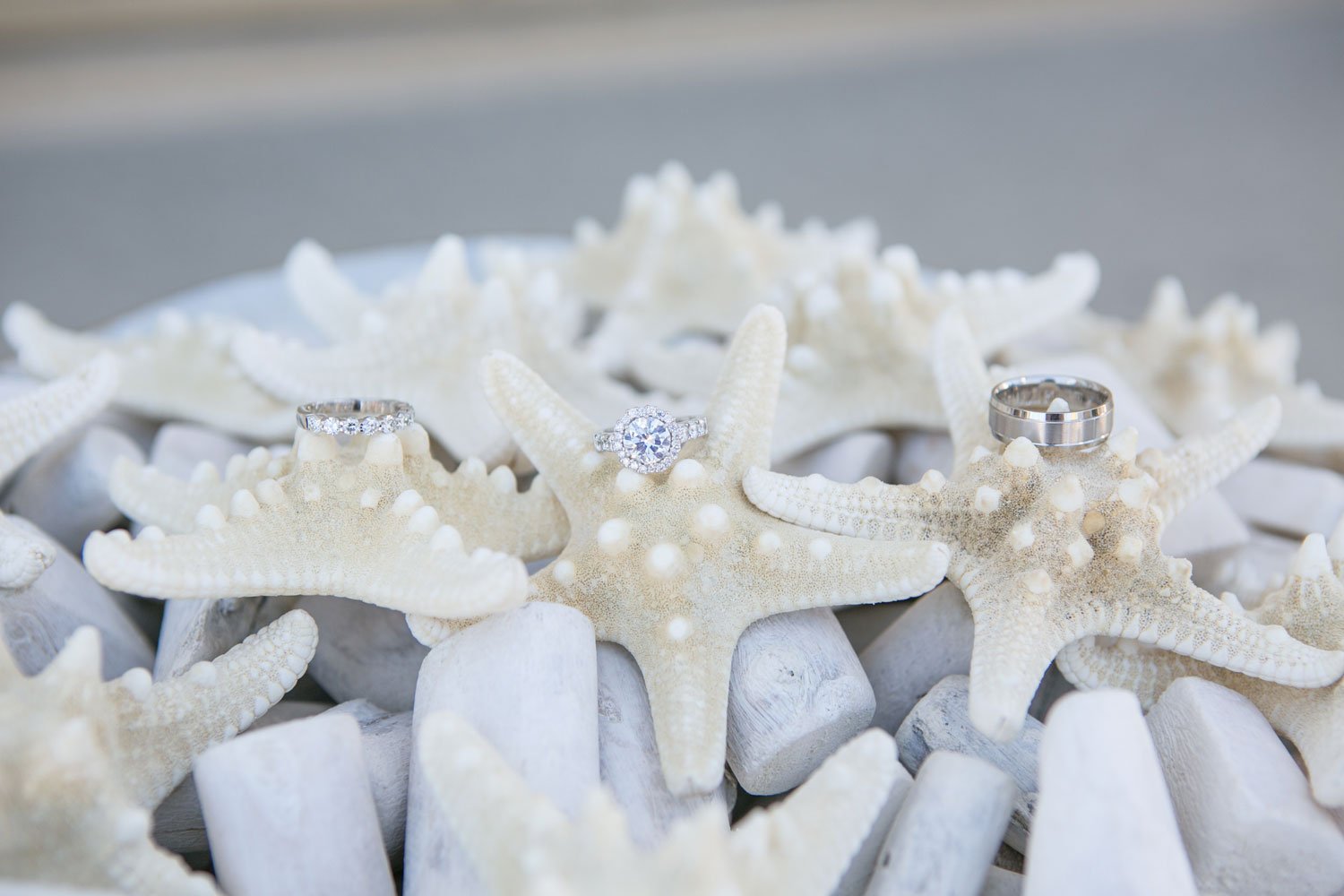 Starfish with Wedding Rings