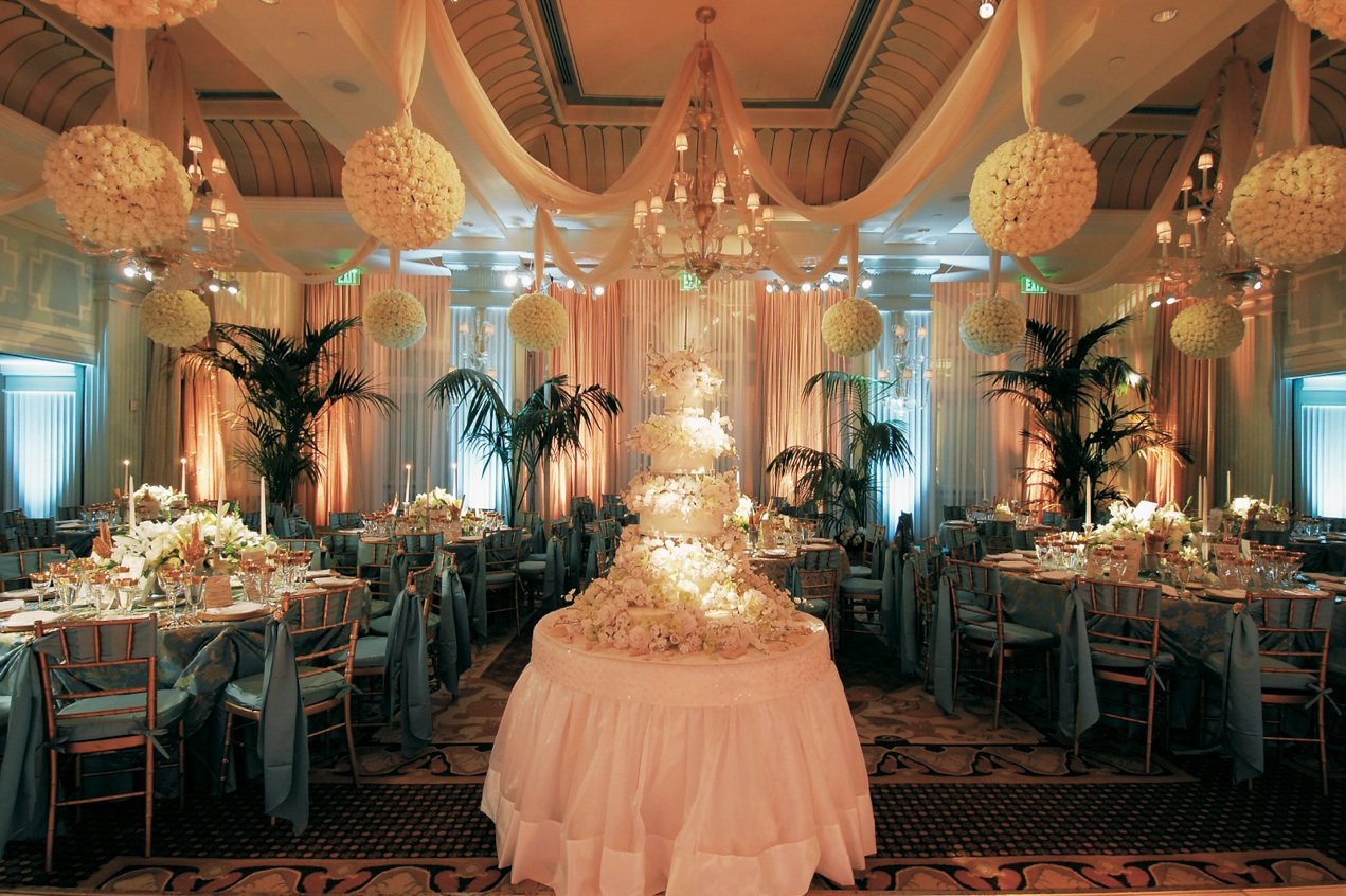Ivory and Blue Reception
