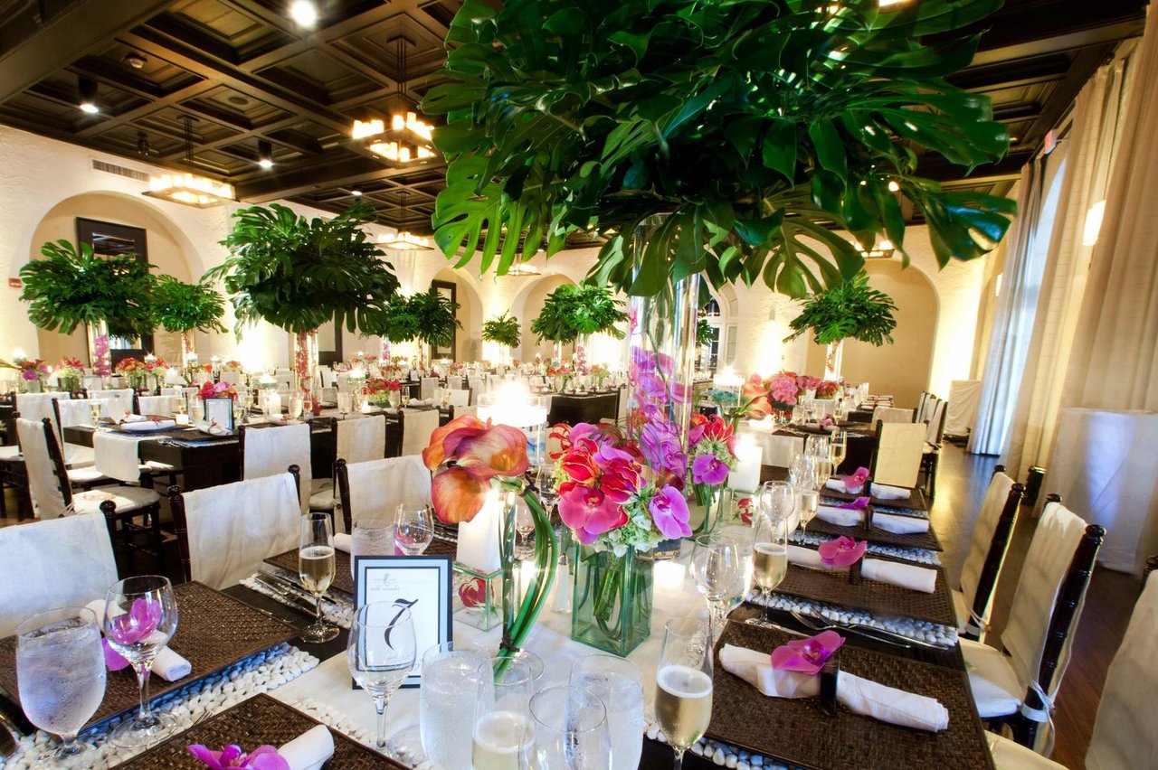 Tropical Indoor Reception