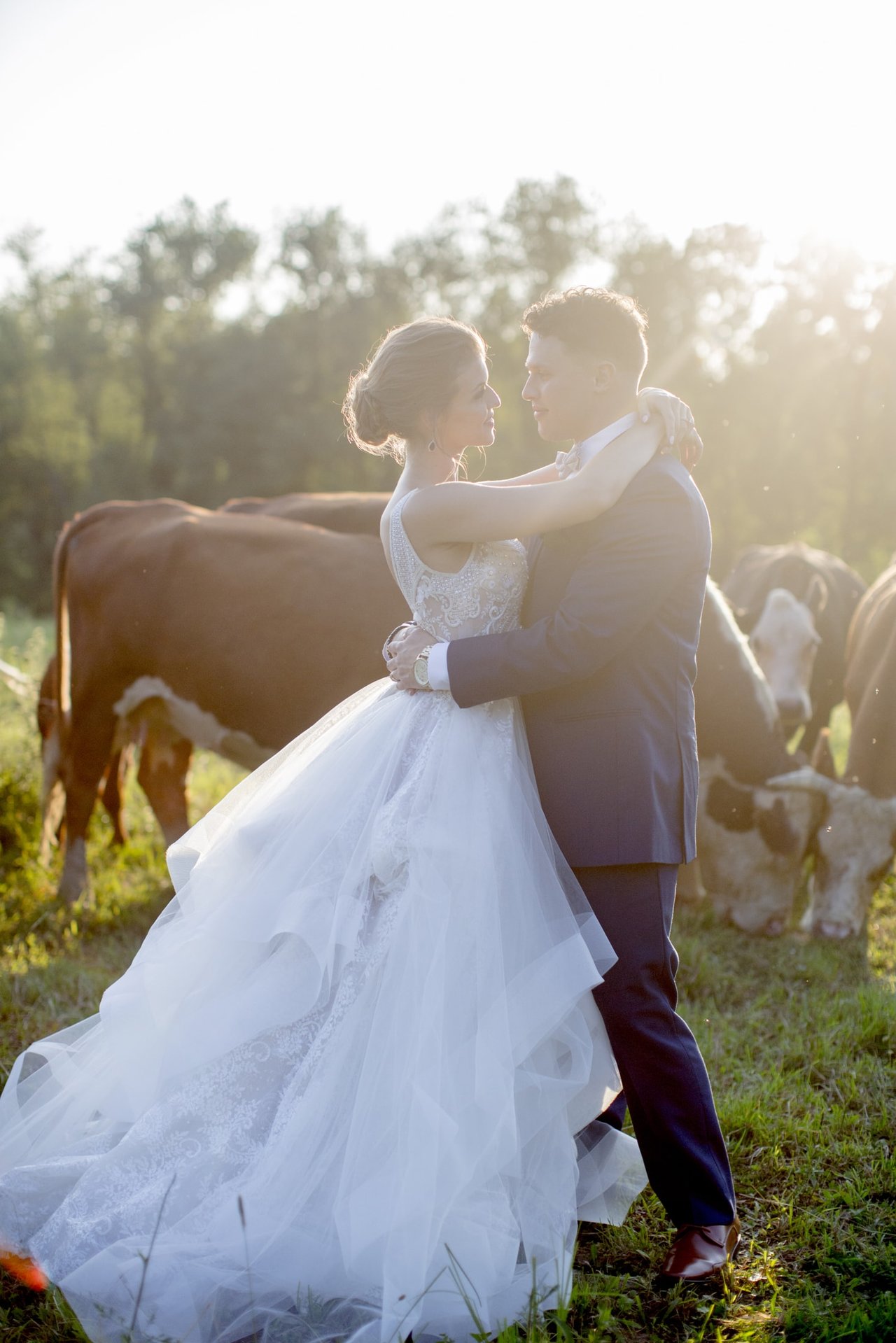 Bride & Groom Portrait with Cattle
