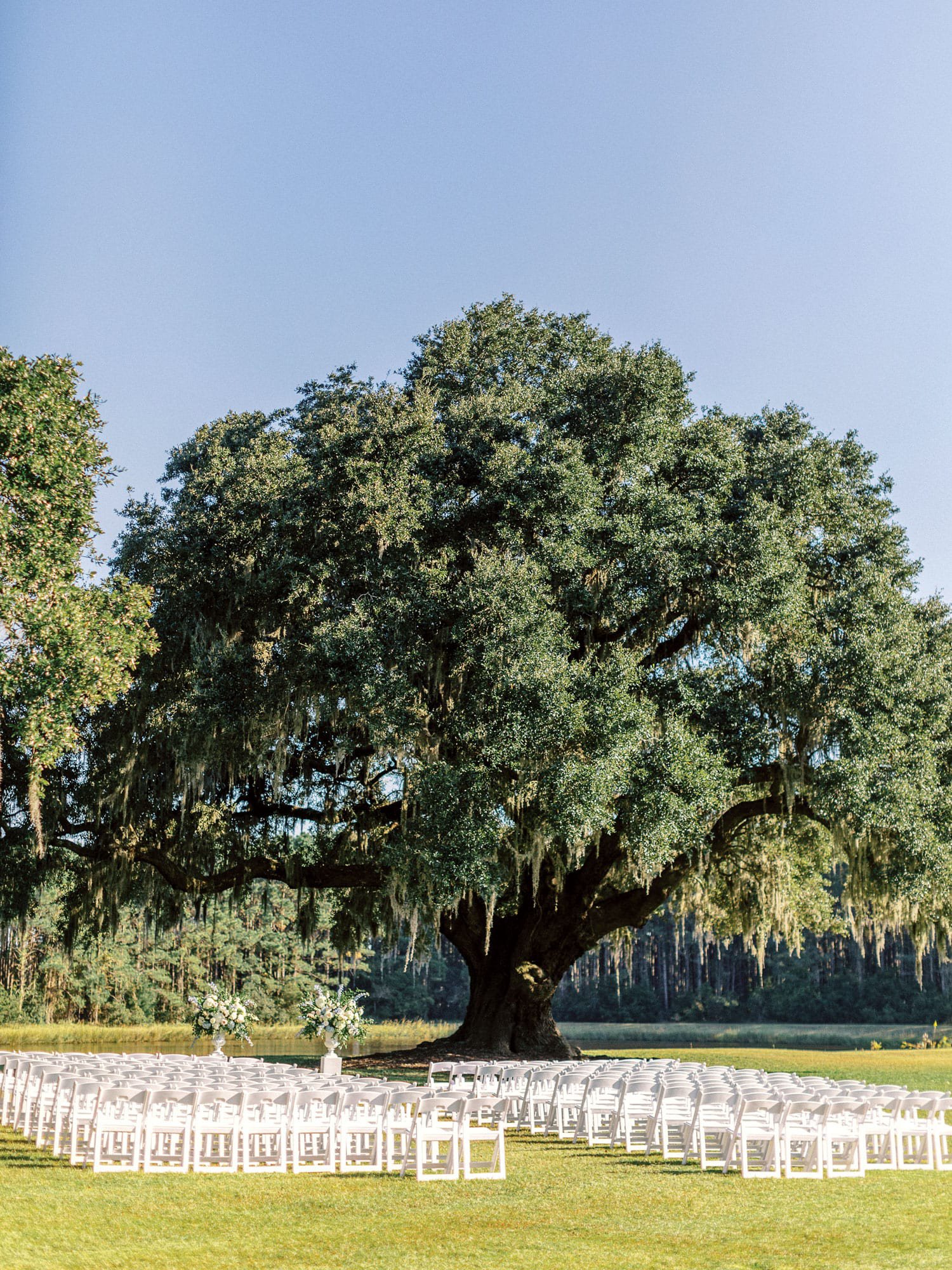 Outdoor Ceremony Under Oak Tree