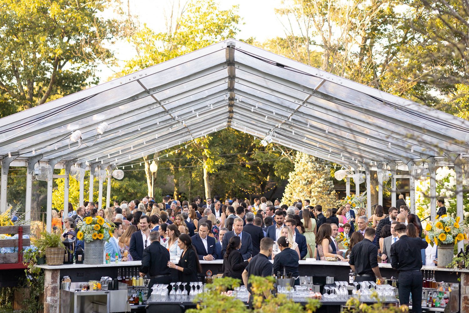 Wedding Guests Under Canopy at Cocktail Hour