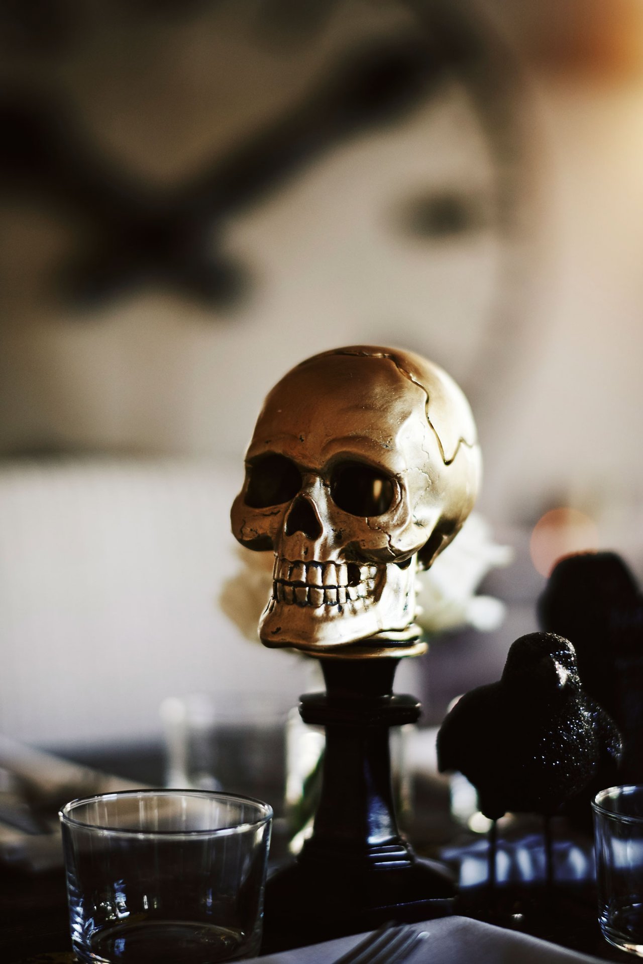 Black Bird & Skull Décor