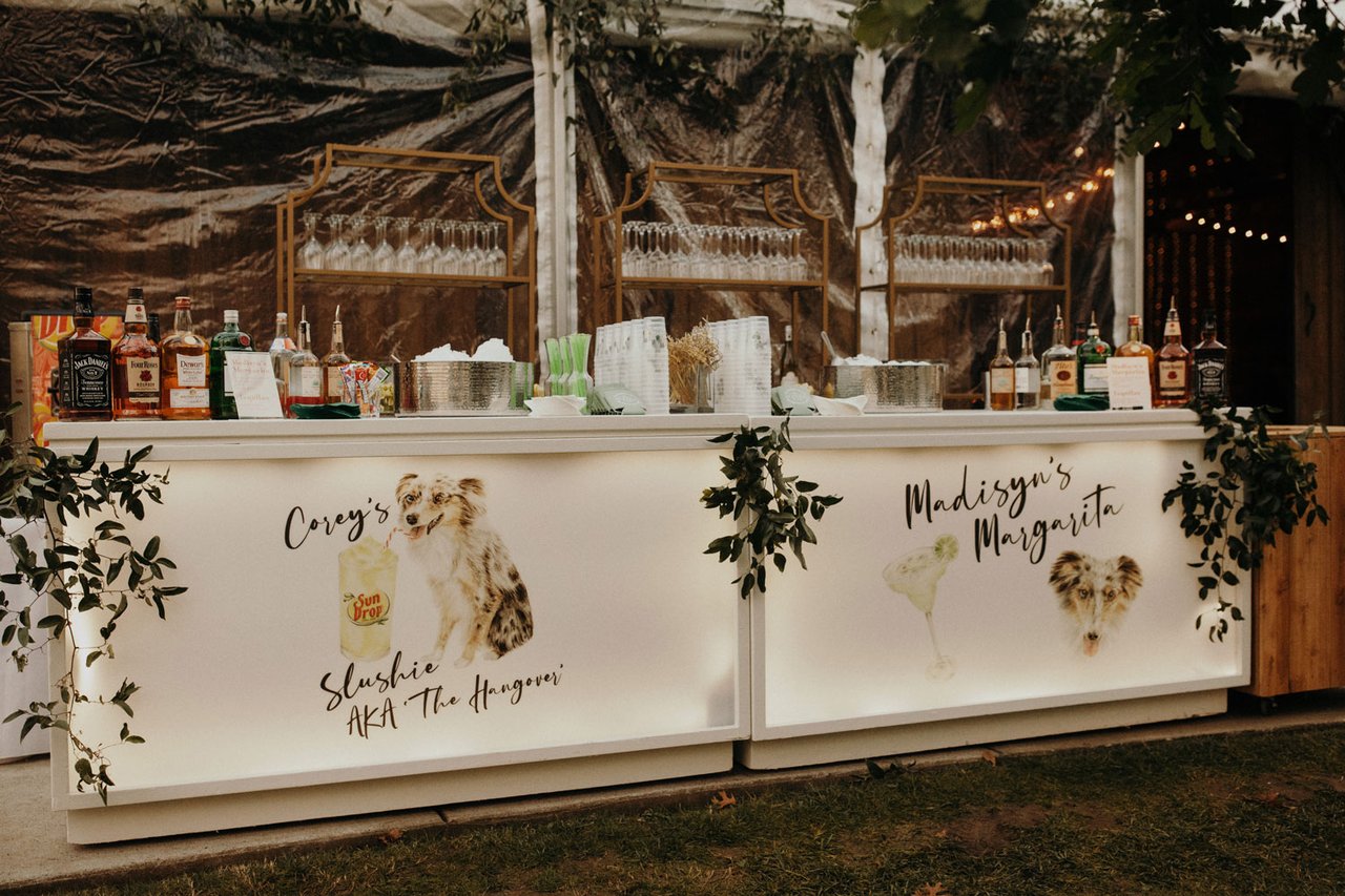 Custom Bar with Illustrations of Dog
