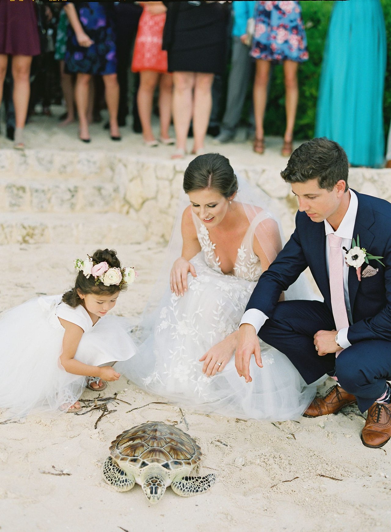 Newlyweds with Flower Girl & Turtle
