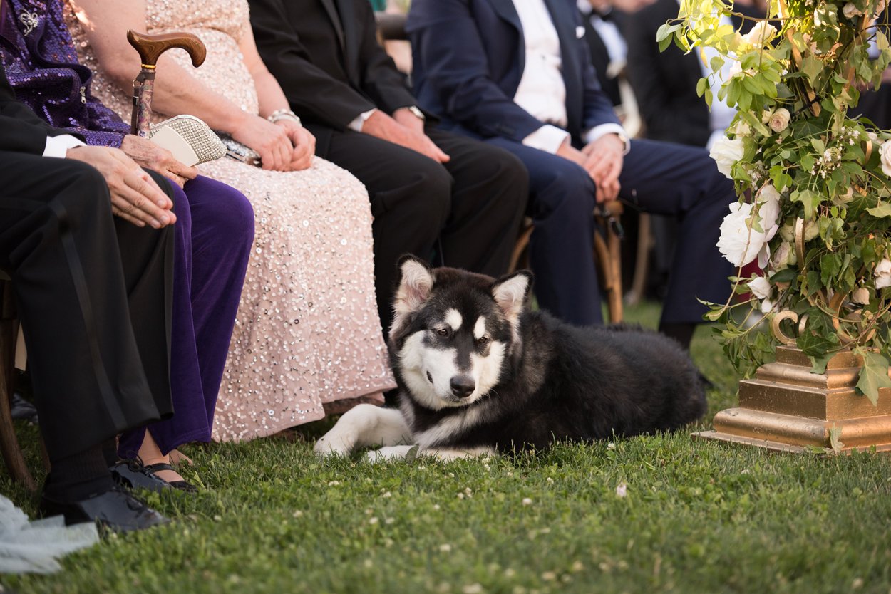 Husky Watches Wedding